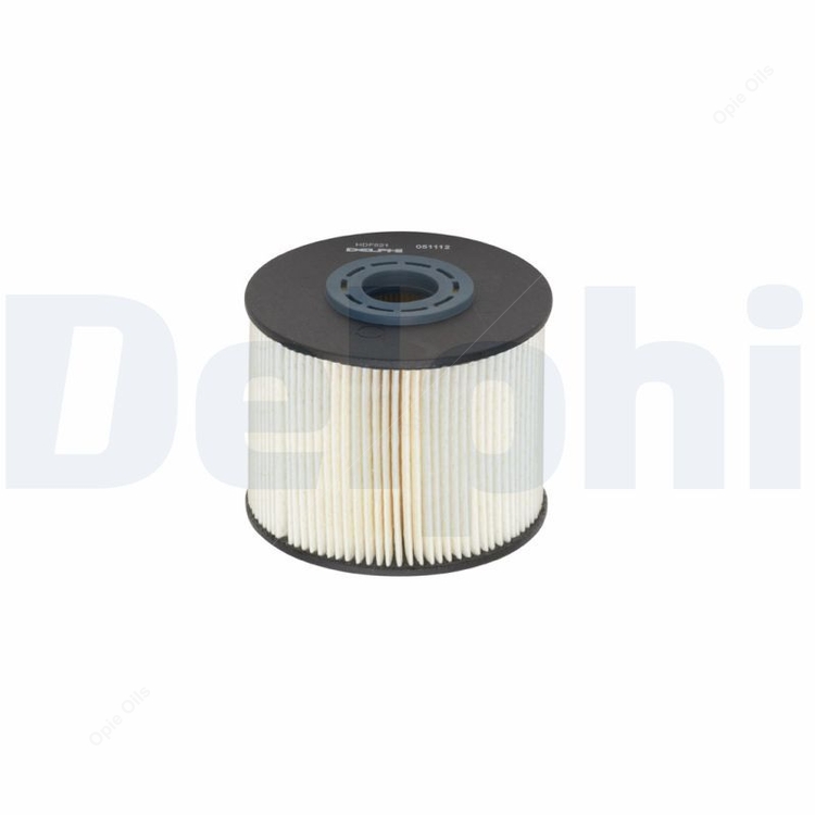 Delphi Diesel Fuel Filter (HDF621) Filter Insert